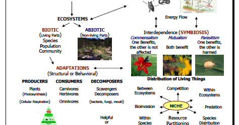 Ecosystems and Interactions: Unit 1 - Interactions and Ecosystem Organizer