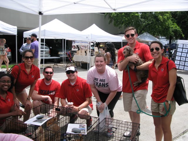 Adopt A Pet Houston: As Seen on Fox 26 News Houston - Adopt Dogs from ... Adopt A Pet Houston: As Seen on Fox 26 News Houston - Adopt Dogs from ...