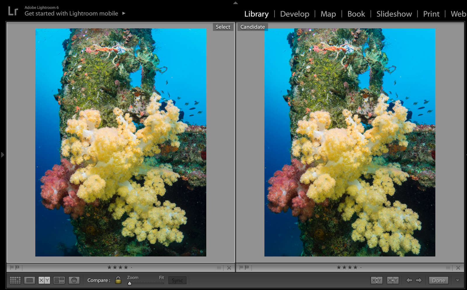 Correcting Lens Distortion in Underwater Photos Correcting Lens Distortion in Underwater Photos