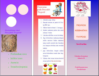 simple: leaflet thypoid