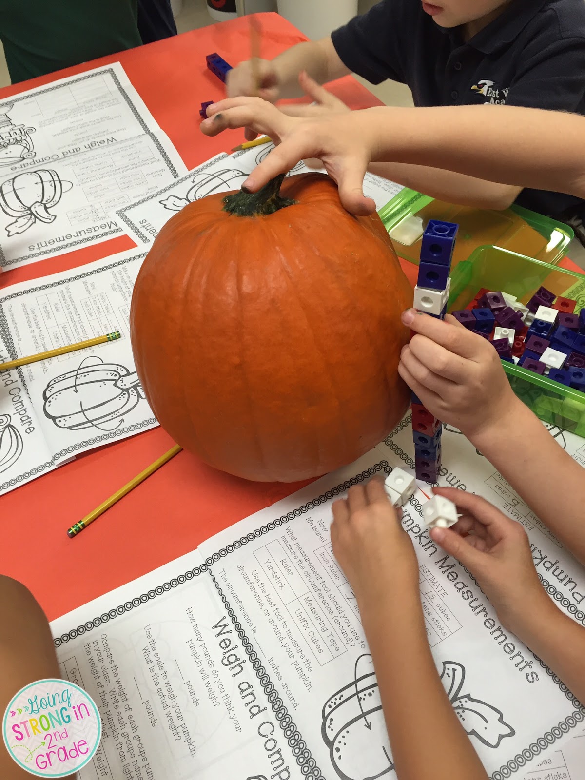 Going Strong in 2nd Grade: Pumpkin Week!!