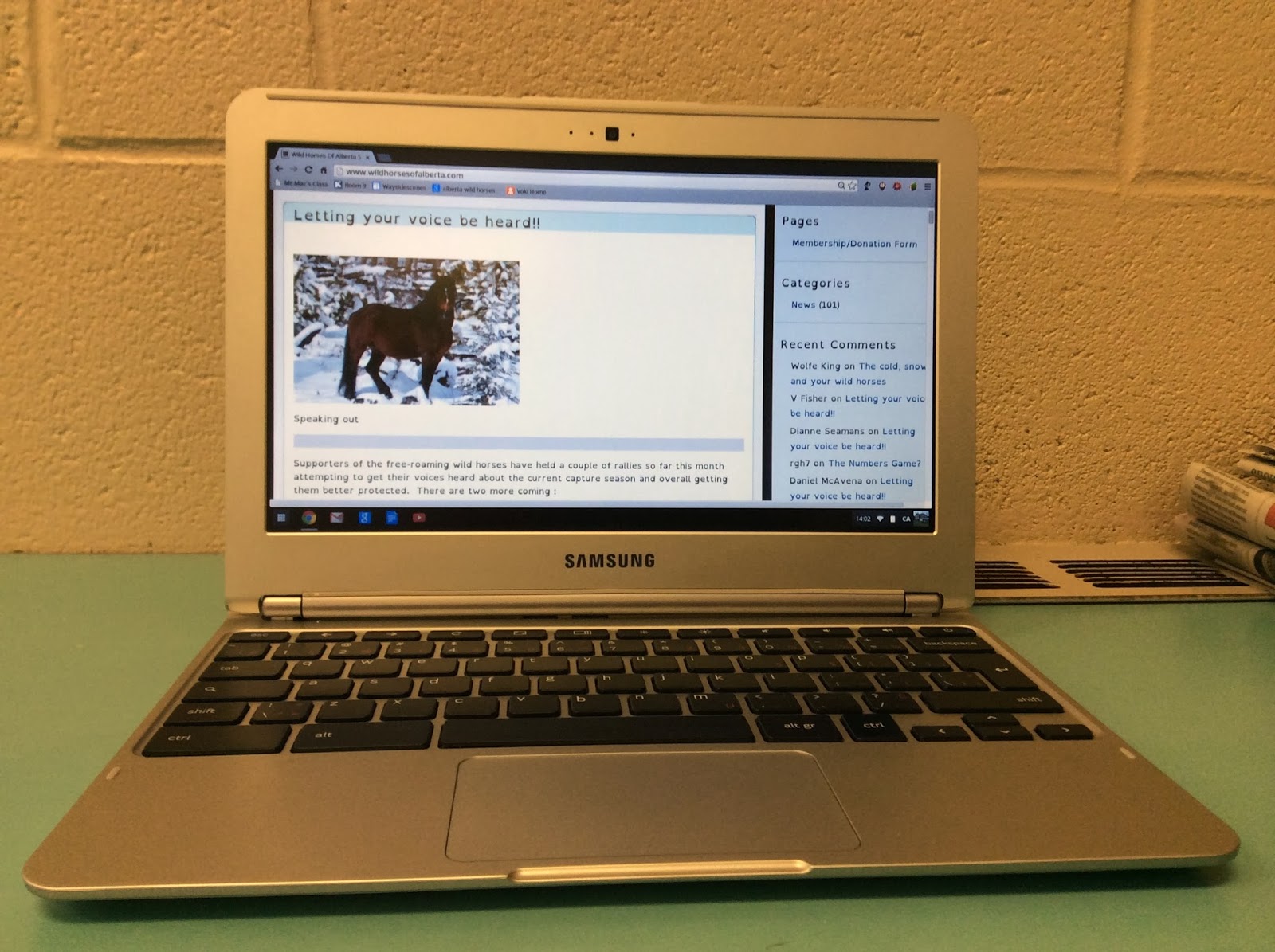 Techno Rookie Apps For Elementary Students Using Chromebooks techno-rookie-apps-for-elementary-students-using-chromebooks