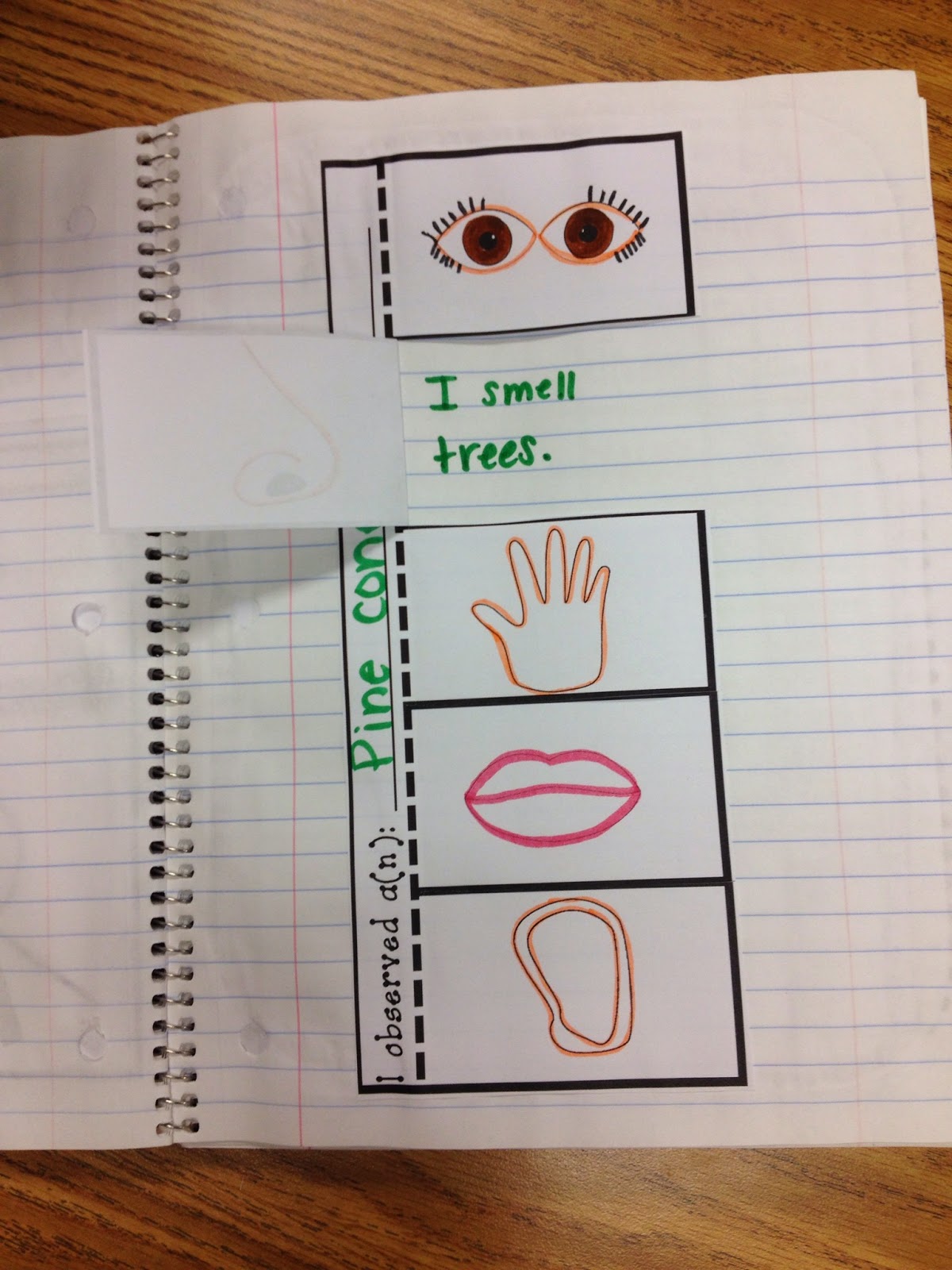 Live, Laugh, Teach First Grade: Science Interactive Notebook!!