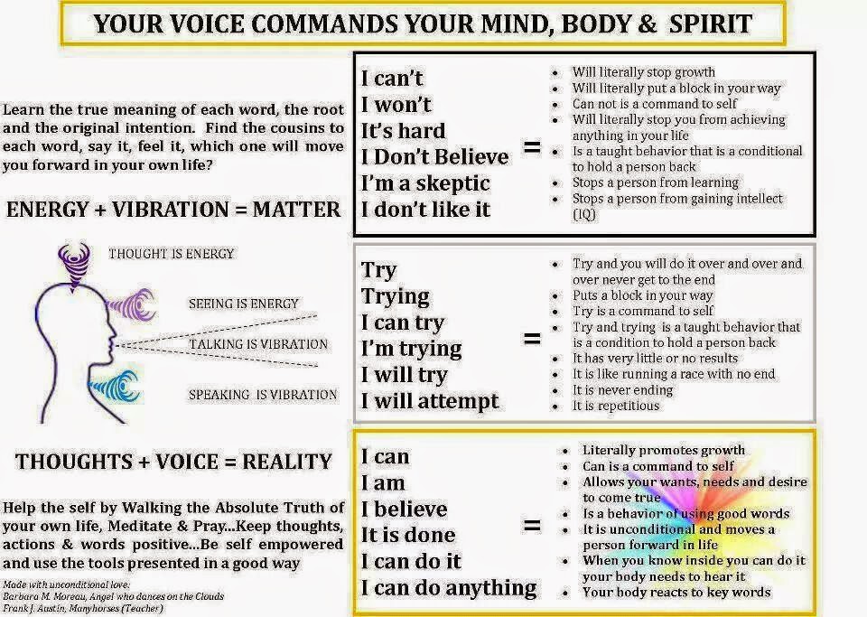 ALL Is Mind The 12 Cognitive Biases That Prevent You From Being all-is-mind-the-12-cognitive-biases-that-prevent-you-from-being