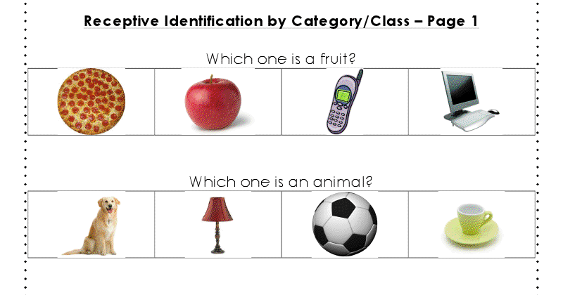 Ms. Lane's SLP Materials: Categories: Receptive Identification