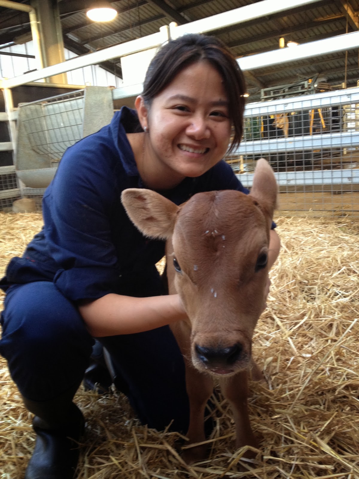Small Animal Talk: Interview with Diana Chua: how many unwanted companion animals are in Australia