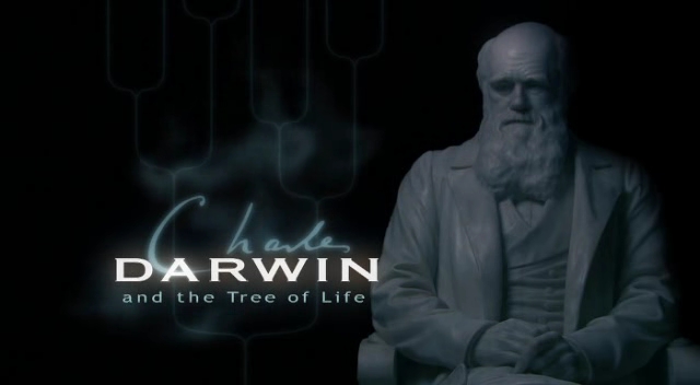 Charles Darwin And The Tree Of Life 2009 - fiekanns