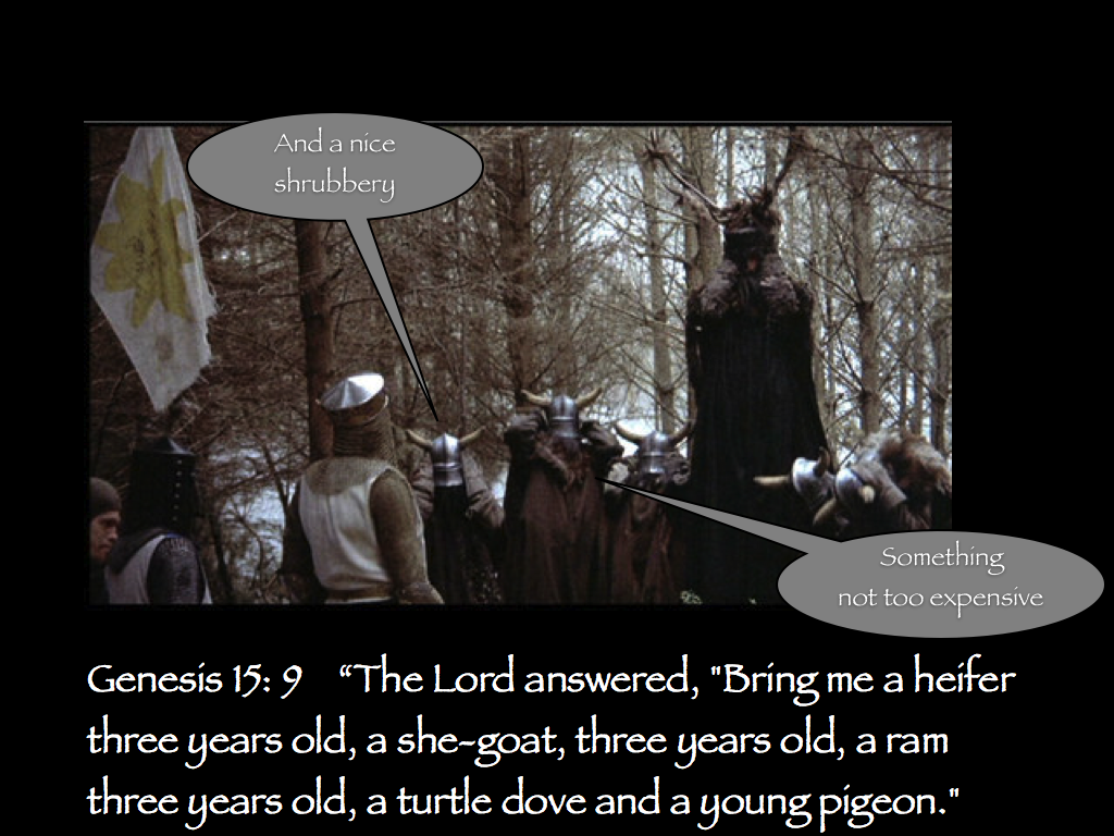 Evolving Perspectives The Illustrated Bible Genesis 15 9 evolving-perspectives-the-illustrated-bible-genesis-15-9