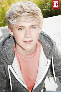 novelas one direction: mi vida a lado de Niall Horan