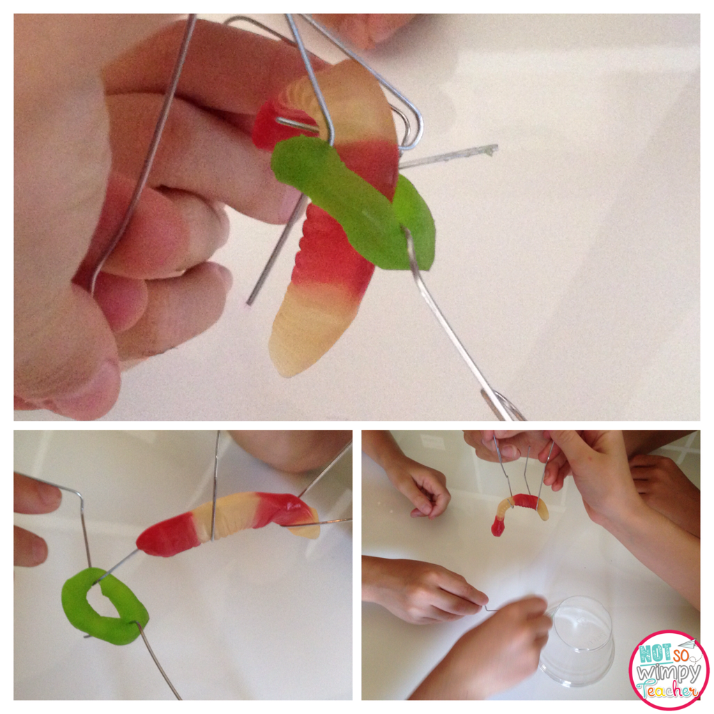 4 Engaging Back to School Activities - Not So Wimpy Teacher