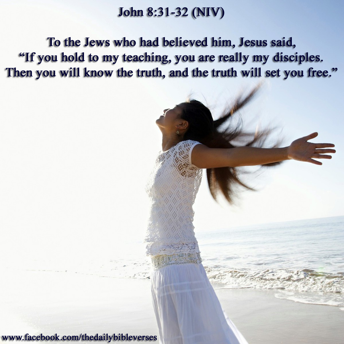 Daily Bible Verses John 8 31 32 daily-bible-verses-john-8-31-32