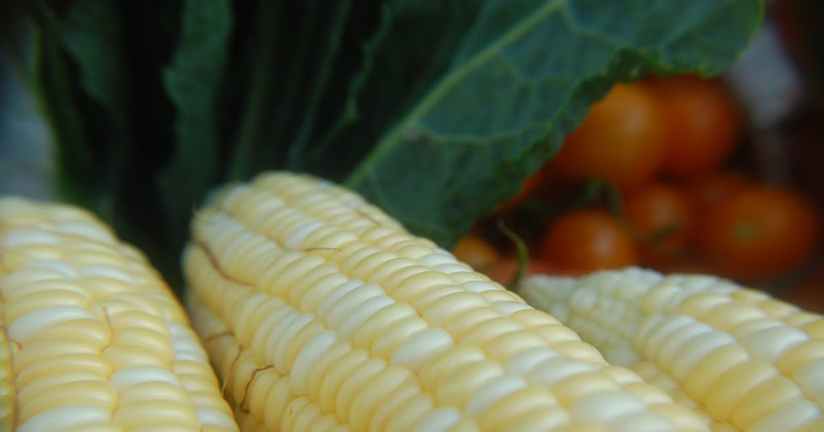 Four Green Acres: Ruby Gold tomato sorbet: Sweet!