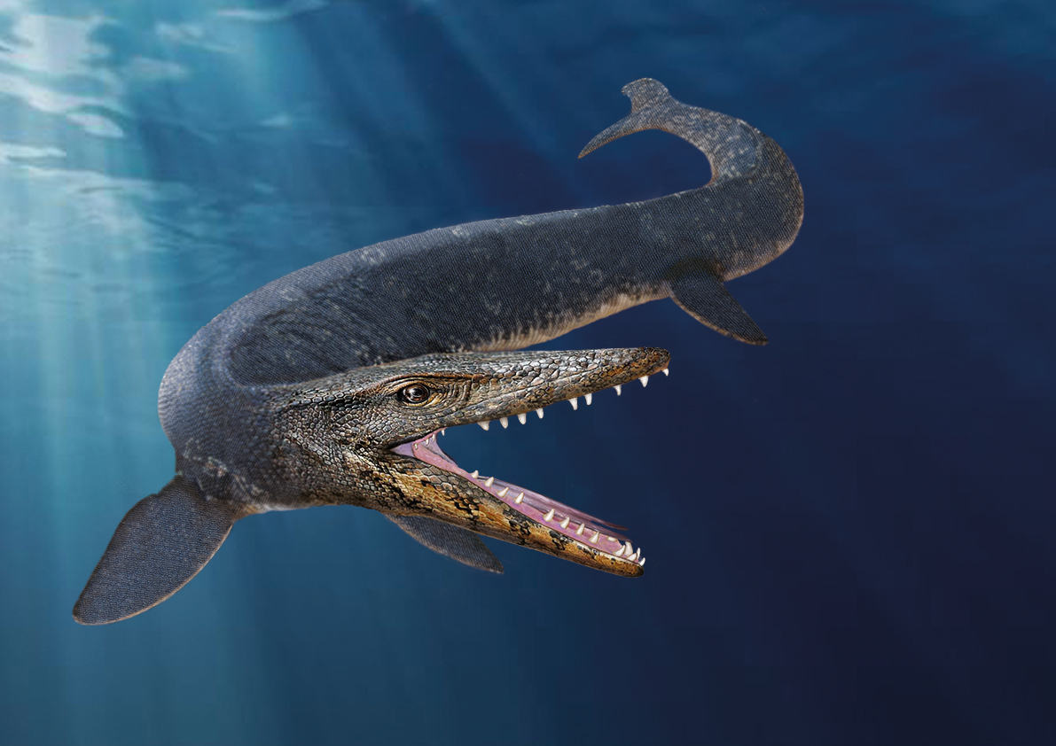 Jan Daanen - Lizard of the Meuse River