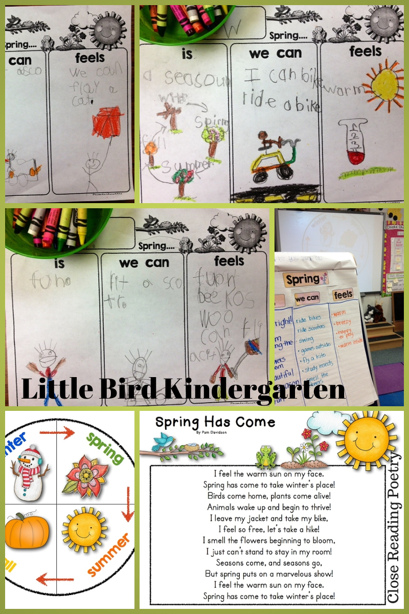 Spring Has Come! - Little Bird Kindergarten
