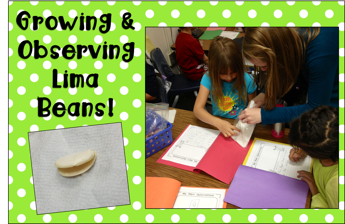 An emotional and busy FIVE FOR FRIDAY. - Susan Jones Teaching