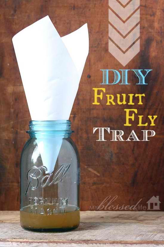 Crafts With Jars DIY Fruit Fly Trap From A Mason Jar crafts-with-jars-diy-fruit-fly-trap-from-a-mason-jar