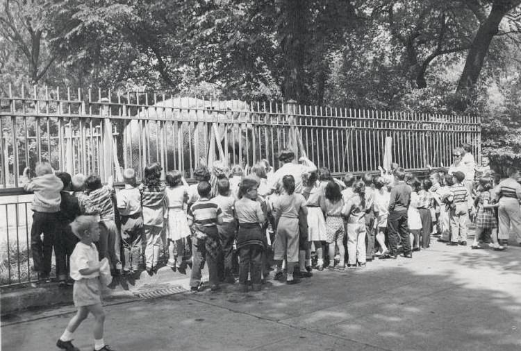 CHUCKMAN S COLLECTION CHICAGO POSTCARDS VOLUME 17 PHOTO CHICAGO LINCOLN PARK ZOO CROWD chuckman-s-collection-chicago-postcards-volume-17-photo-chicago-lincoln-park-zoo-crowd