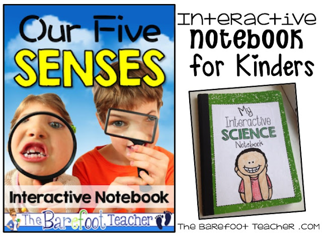 Science Interactive Notebooks The Five Senses | The Barefoot Teacher