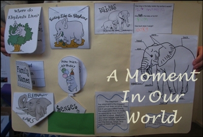 Elephant Lapbook - Simple Living. Creative Learning