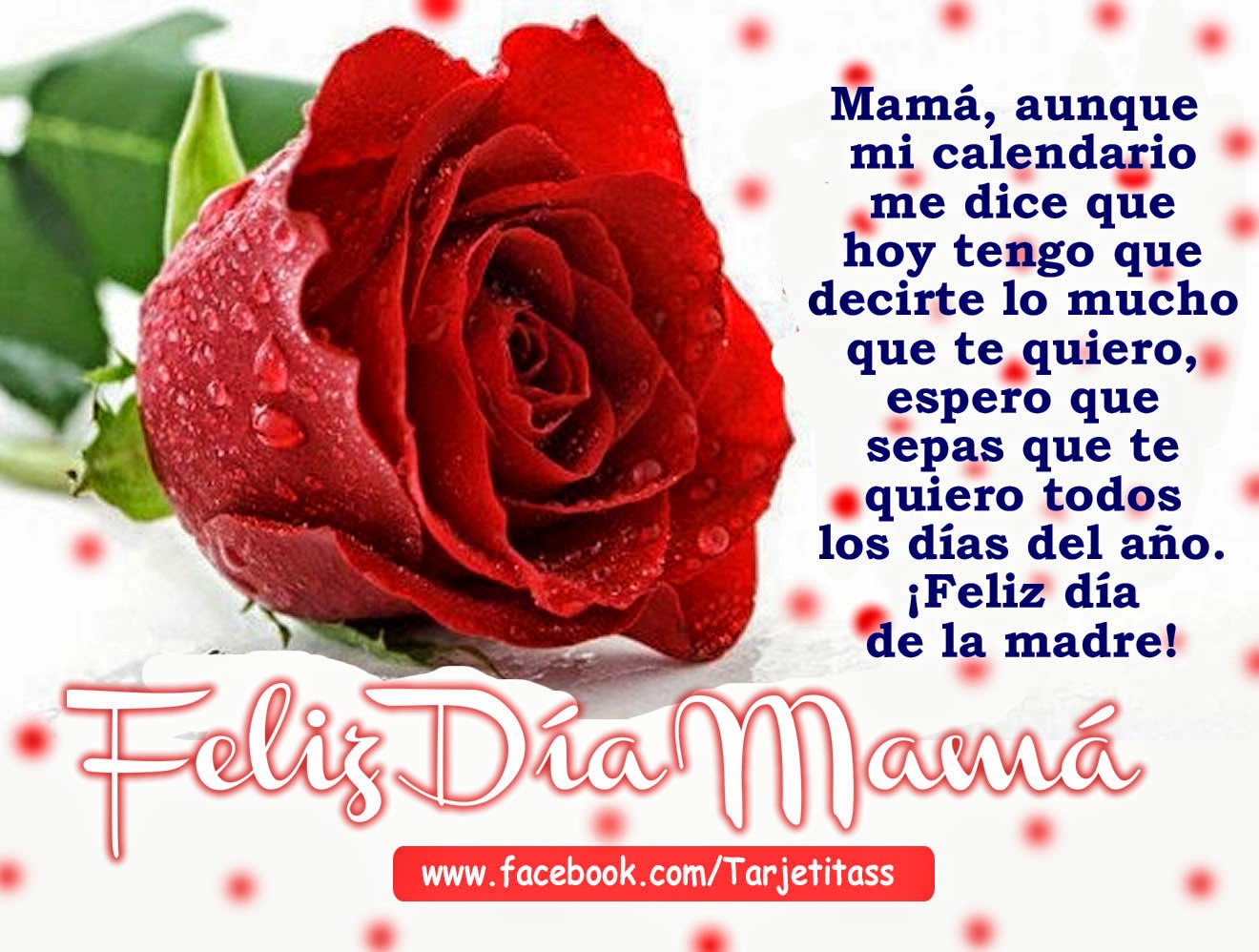 FELIZ DÍA MAMA - Mamá, aunque mi calendario me dice que hoy tengo que ...