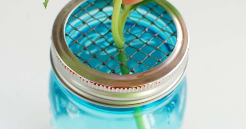 Crafts with Jars: Mason Jar Screen Flower Frog