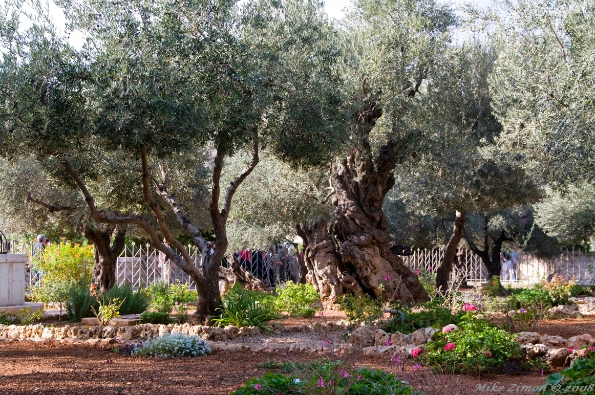 Sabbath Walk: Good Friday 2014