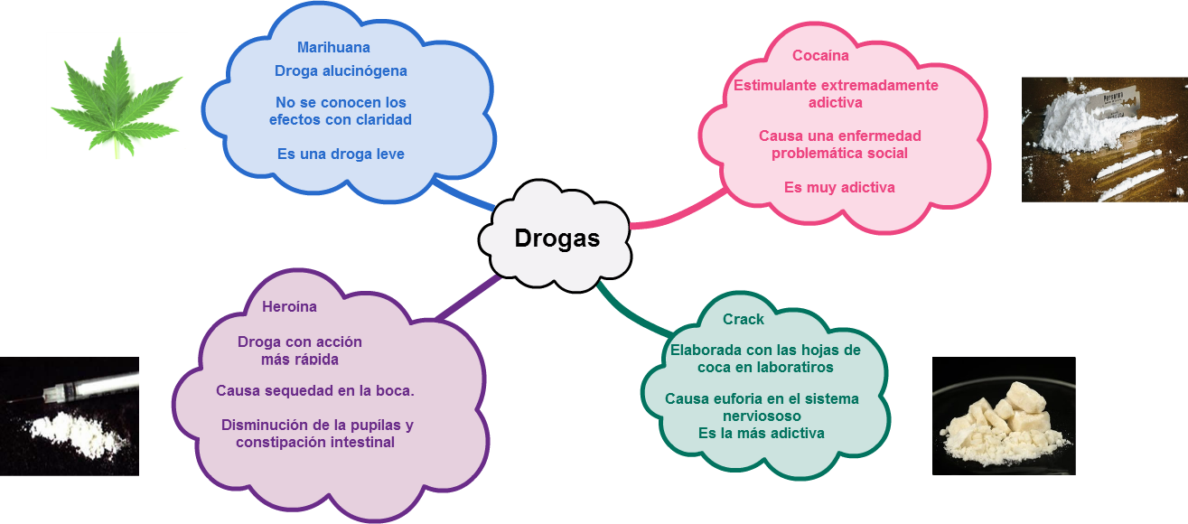 Info-M° Fernanda 8°: Tipos de Drogas