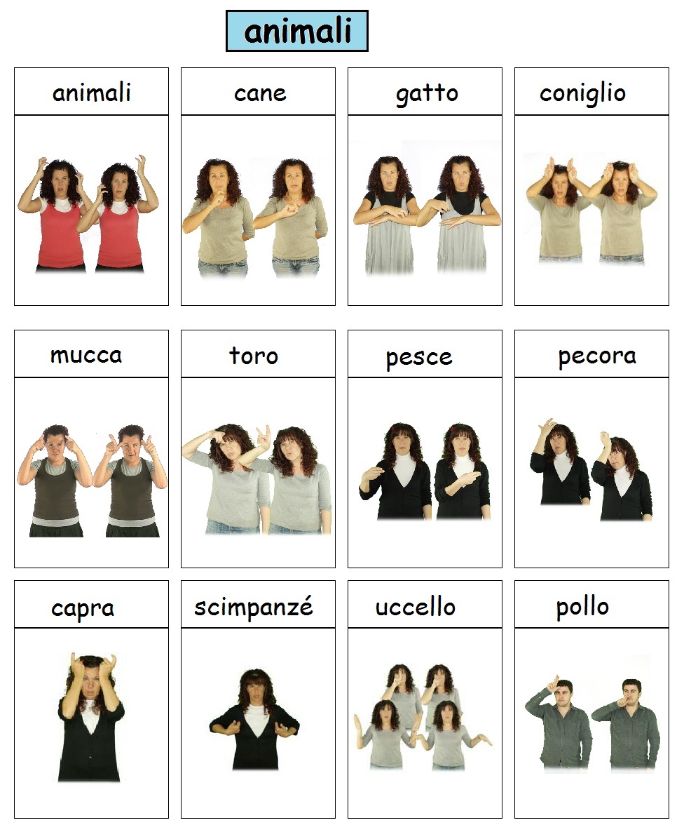 Pin di Maria Rita Bruno su lis | Linguaggio dei segni, Attività di ...