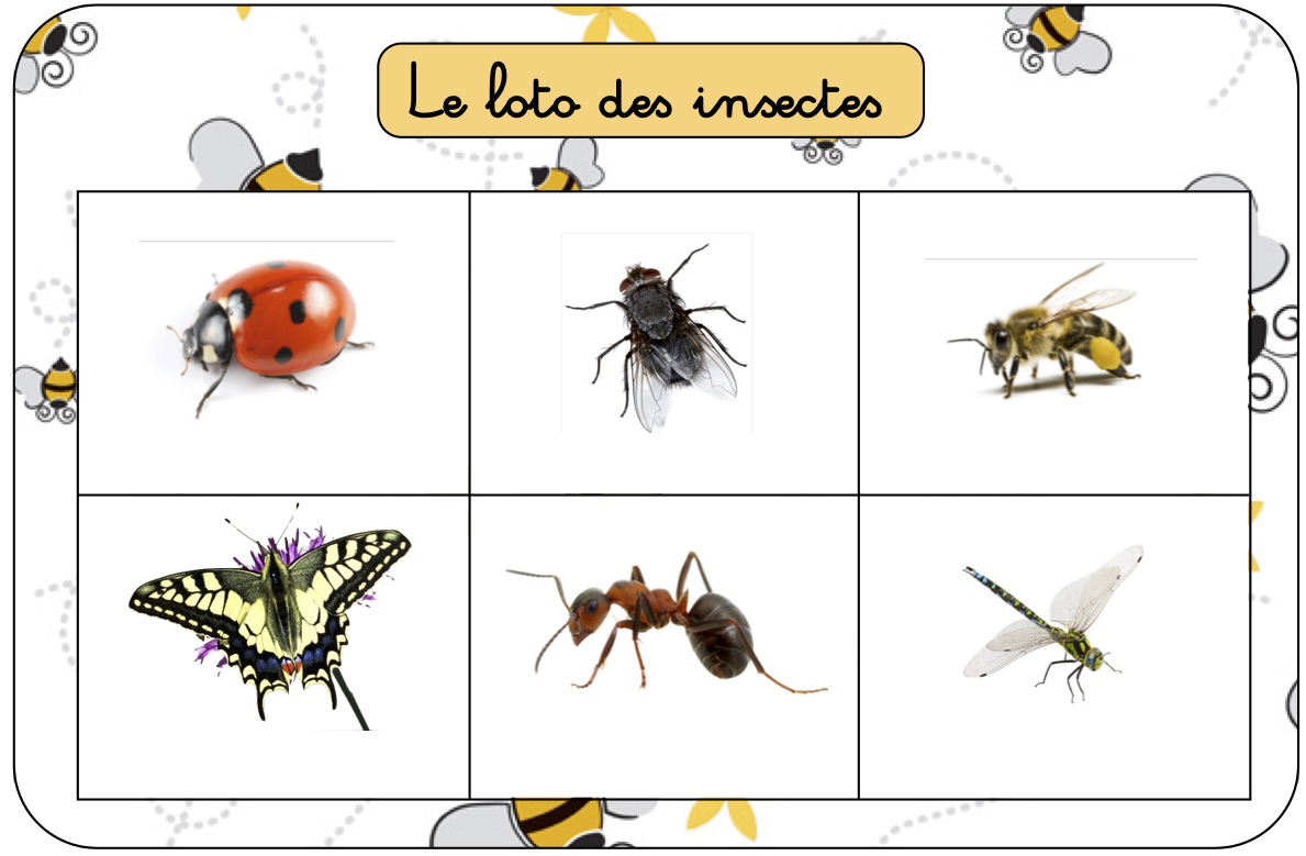 Les petits jeux de July: Les insectes