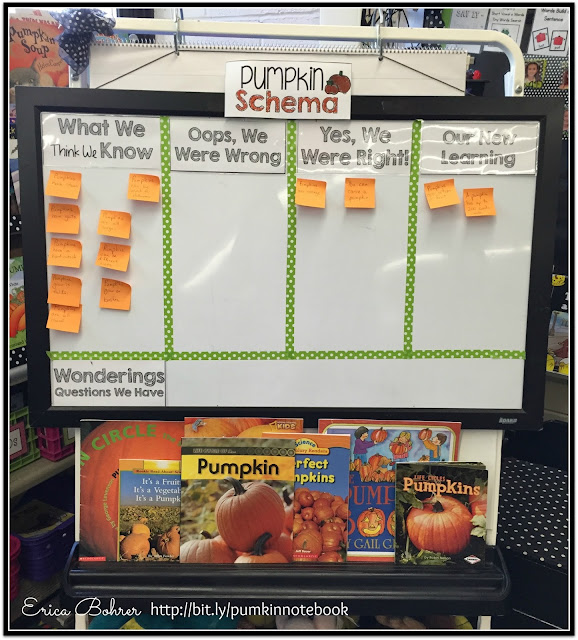 Pumpkin Interactive Science Notebook