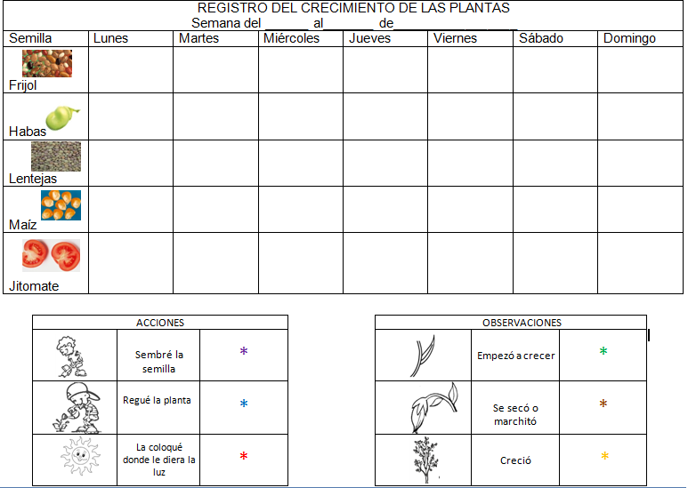 Preescolar Colegio Miguel Ángel