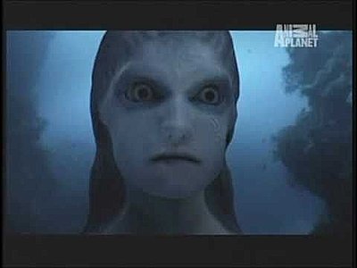 KIKKA: VIDEO: ¿EXISTEN LAS SIRENAS?: THE BLOOP MERMAIDS: ANIMAL PLANET FOTOS: DOCUMENTAL ...