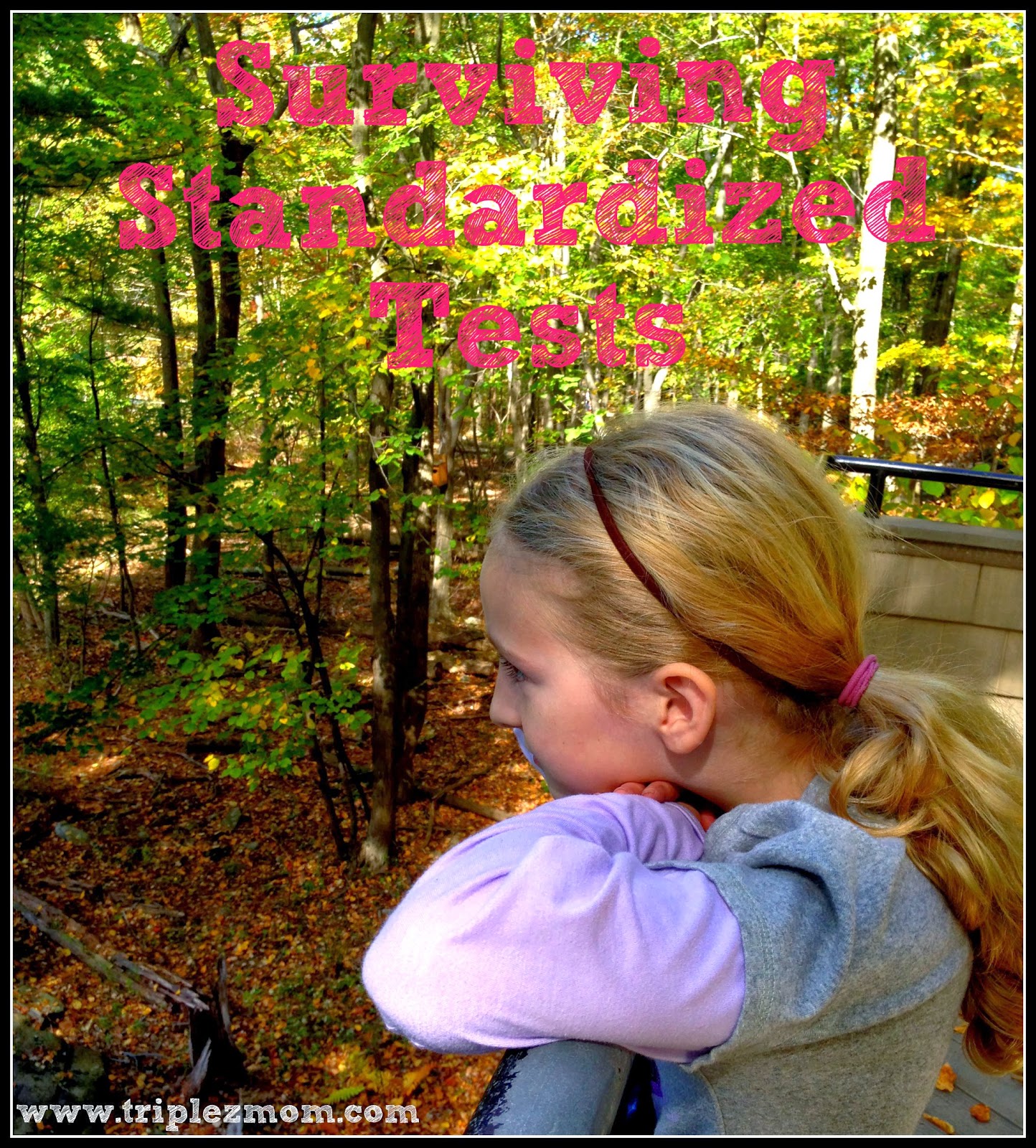 Teaching Tuesday: Surviving Standardized Tests |TripleZmom Teaching Tuesday: Surviving Standardized Tests |TripleZmom