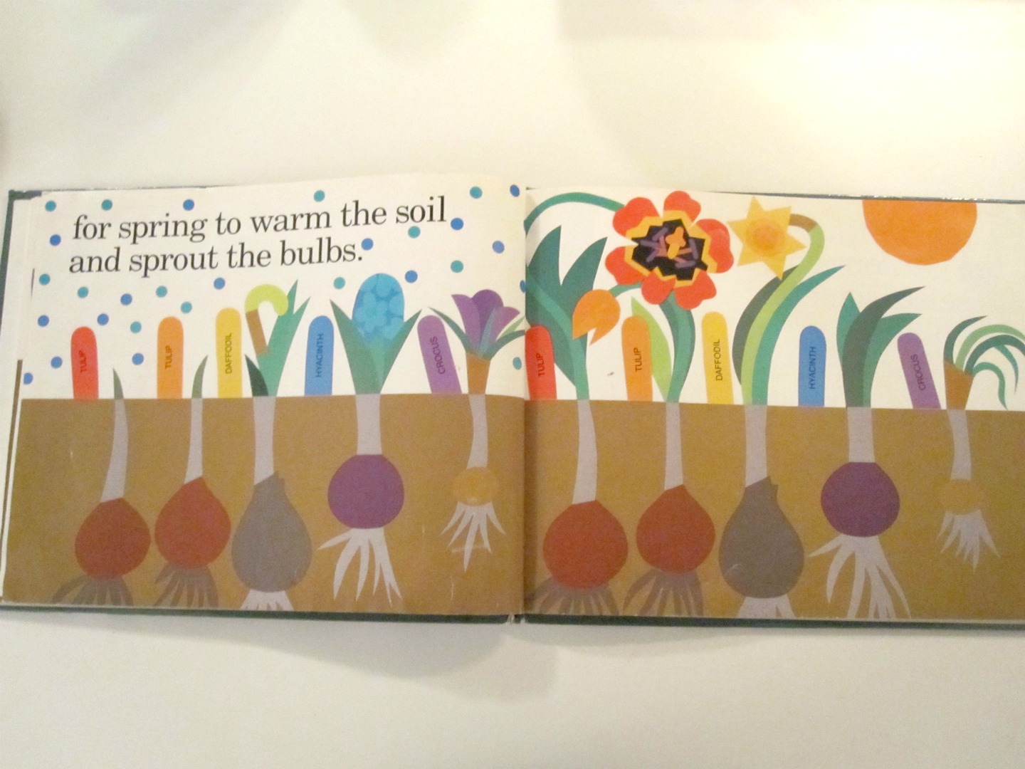 Planting a Rainbow by Lois Ehlert | Goodreads