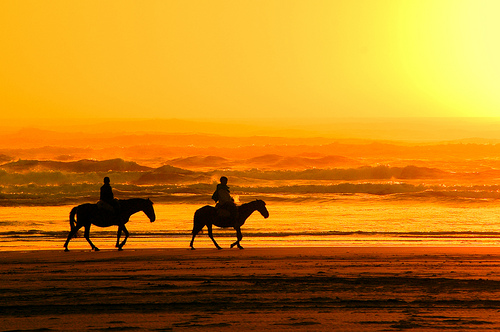 Caballos por la playa - Imagui