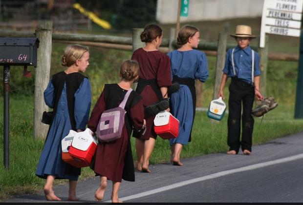 Virginia Gómez Educación y Sociedad: Sistema educativo Amish