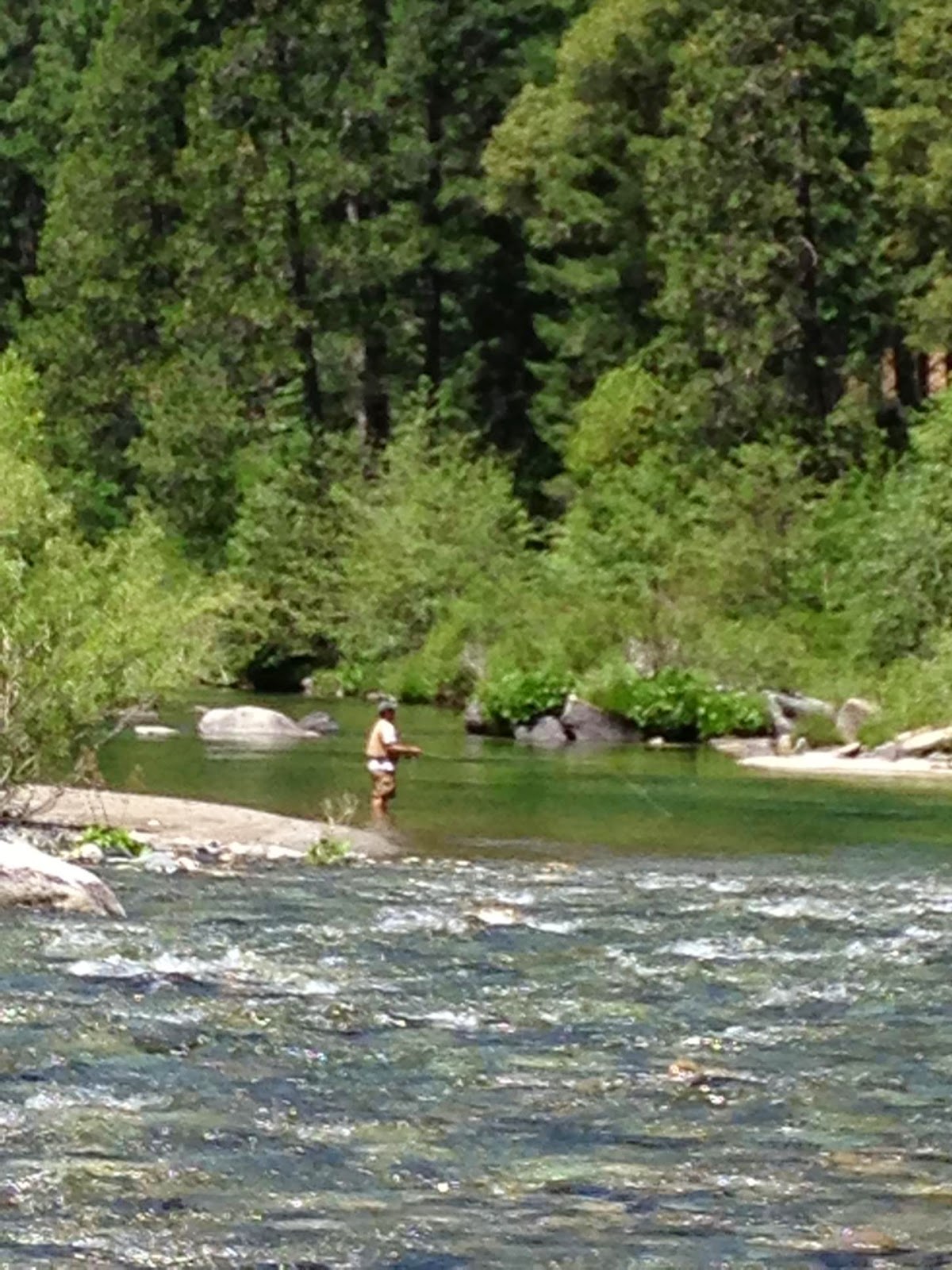 Scott Hopper's blog: STANISLAUS RIVER TROUT - CALAVERAS COUNTY