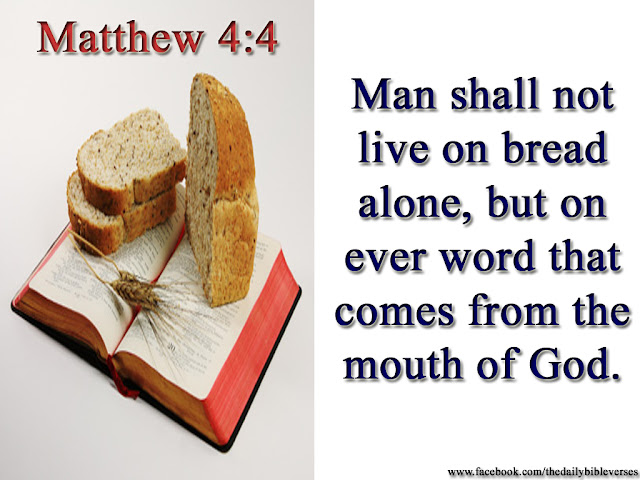 Daily Bible Verses Matthew 4 4 daily-bible-verses-matthew-4-4