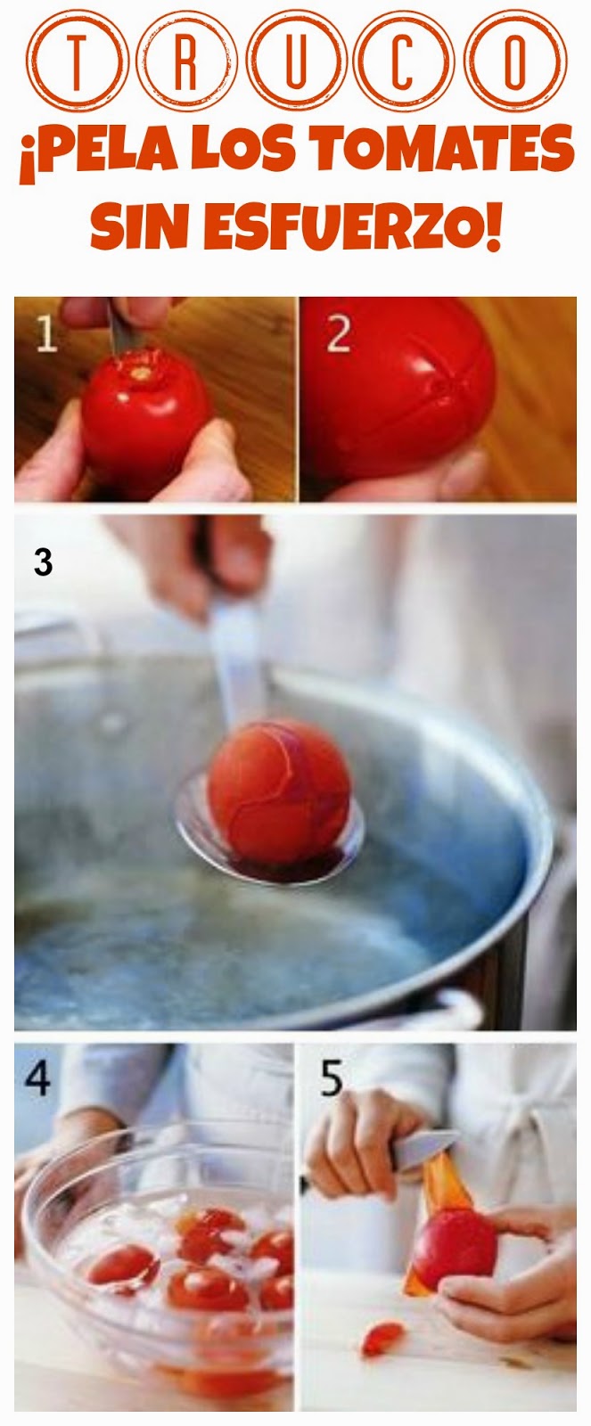 Tablón de Ingenios: Cómo pelar fácilmente tomates Tablón de Ingenios: Cómo pelar fácilmente tomates
