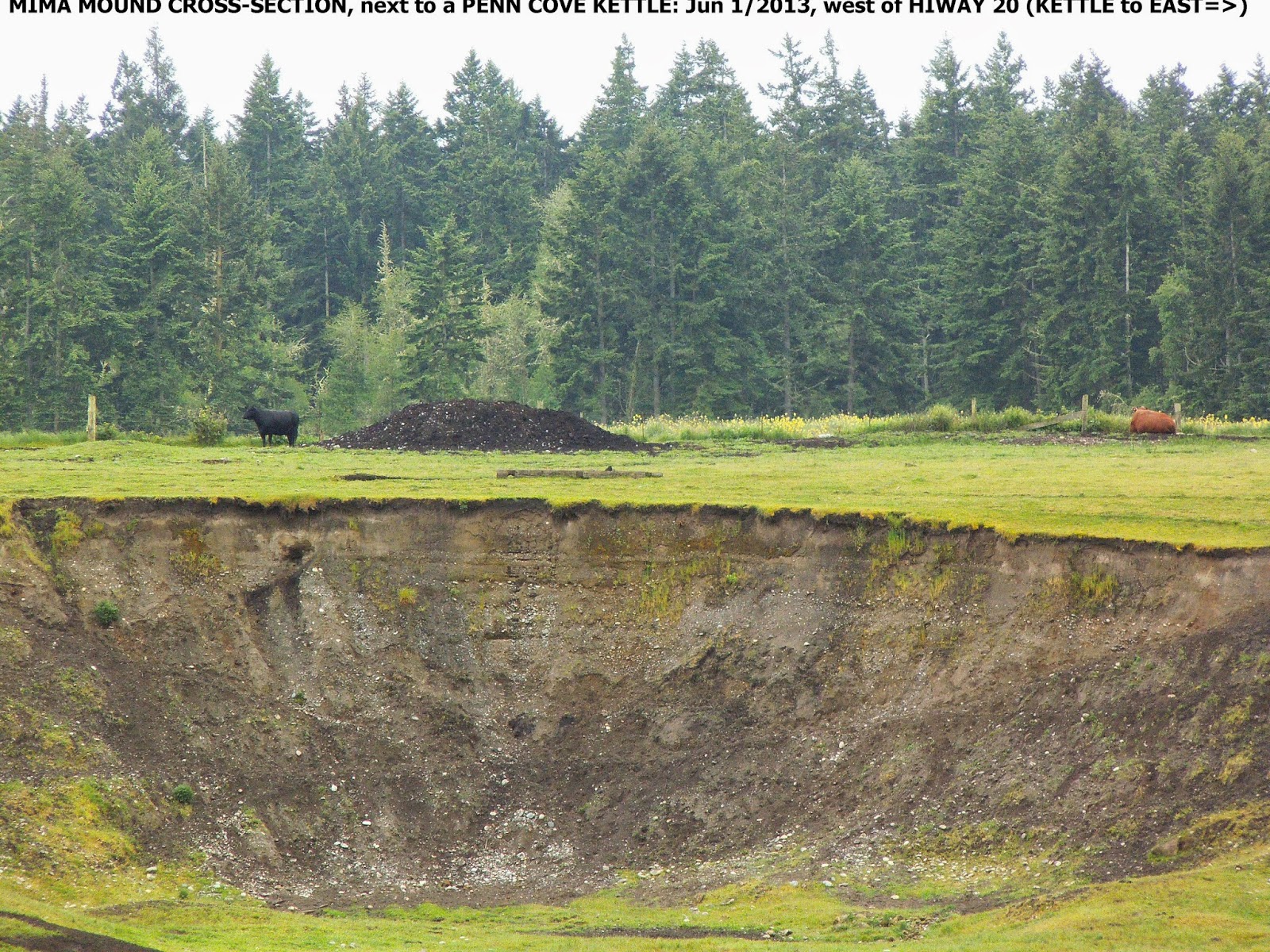 www.PorOgle.blogspot.com: MIMA and larger MOUNDS OCCURRING WITH LATERAL ... www.PorOgle.blogspot.com: MIMA and larger MOUNDS OCCURRING WITH LATERAL ...