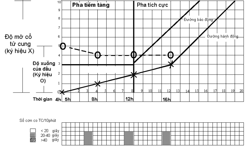 Biểu đồ chuyển dạ | Bác Sĩ Đa Khoa