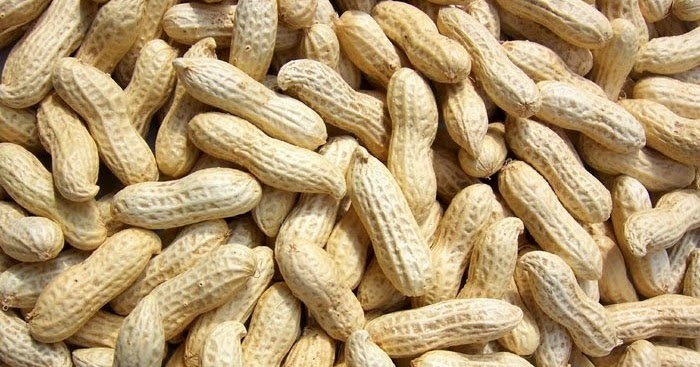 Moongfali khane ke fayde aur nuksaan (Benefits of Ground Nut) | Hinglishpedia