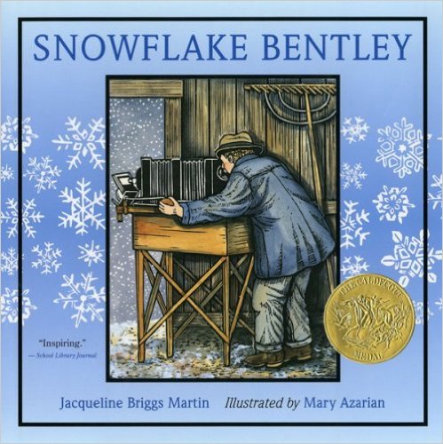 Snowflake Bentley Book Activity - Classroom Freebies