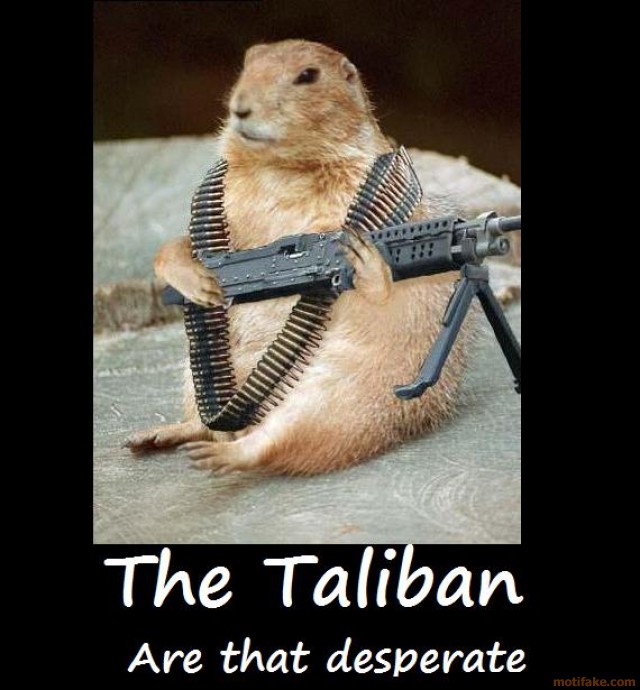 Funny Image Collection Very Creative And Funny War Images Funny War funny-image-collection-very-creative-and-funny-war-images-funny-war