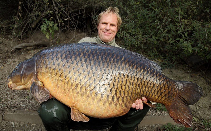 Carpfishing Portugal: NOVO record do Mundo carpa comum