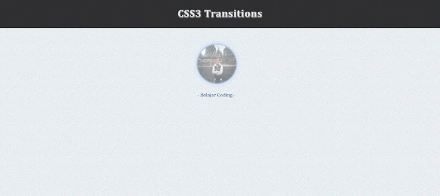 Cara Membuat Effect Transition Hover Dengan CSS - Belajar Coding Cara Membuat Effect Transition Hover Dengan CSS - Belajar Coding