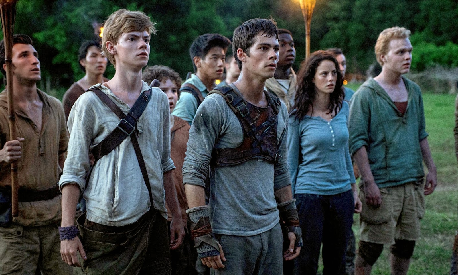 The Maze Runner DVD Review Film Intel the-maze-runner-dvd-review-film-intel
