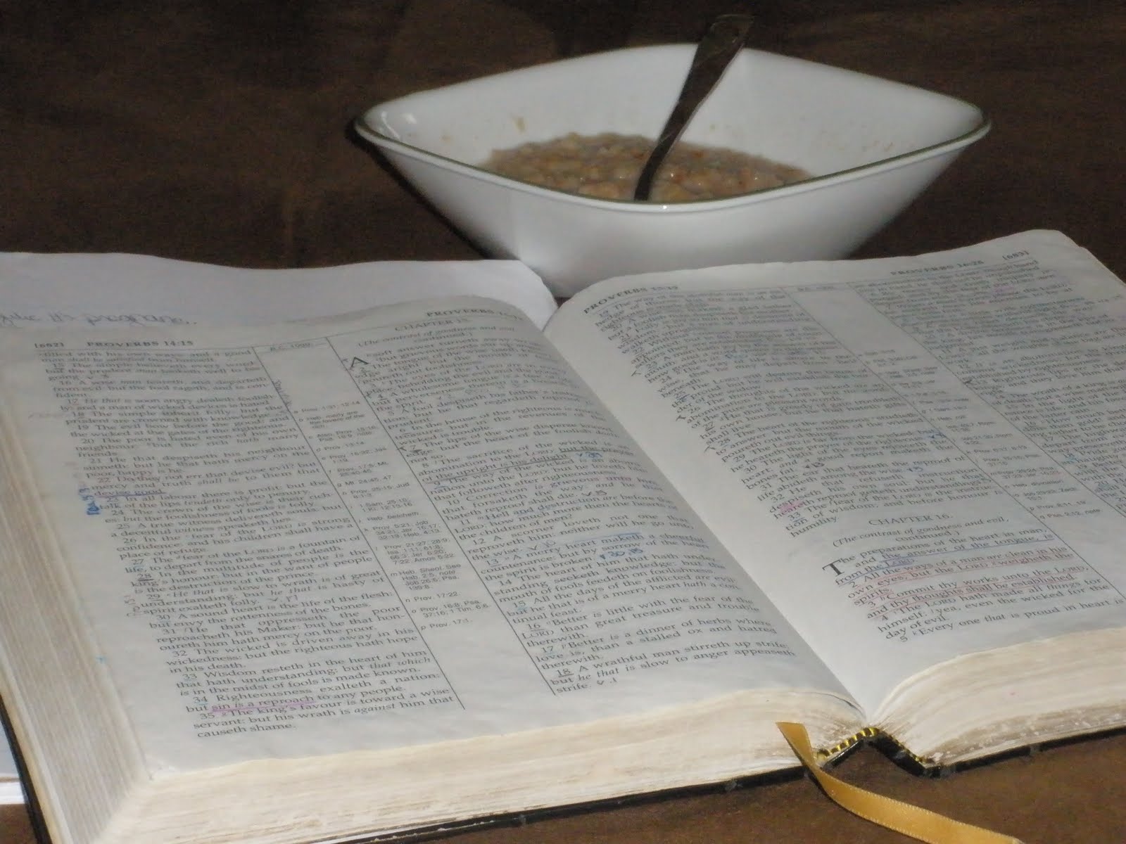 Delighting In My Days Why I Read My Bible delighting-in-my-days-why-i-read-my-bible