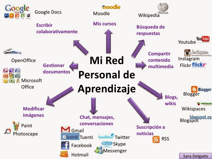 moonsemuagui: "Anatomía de mi PLE".