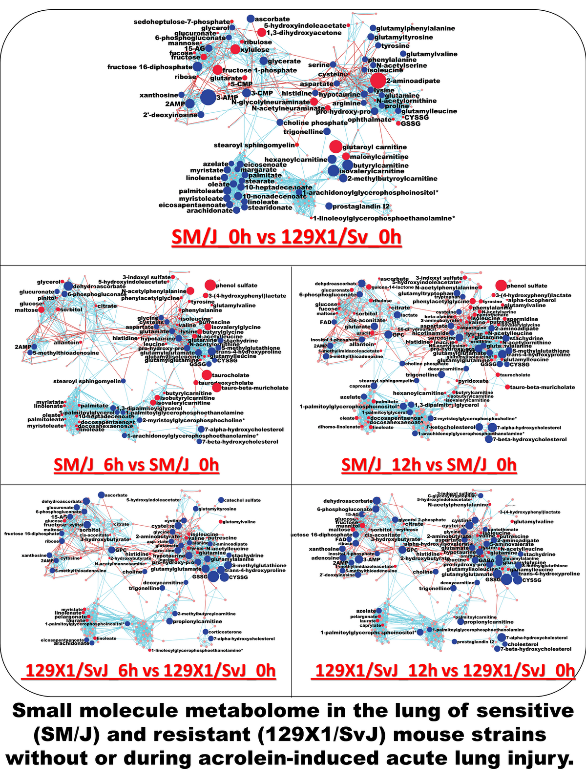 MetaMapp- visualizing metabolomics networks: Small molecule metabolome ... MetaMapp- visualizing metabolomics networks: Small molecule metabolome ...